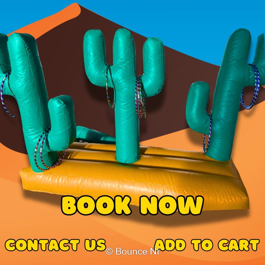 Looking for Inflatable Games Hire?