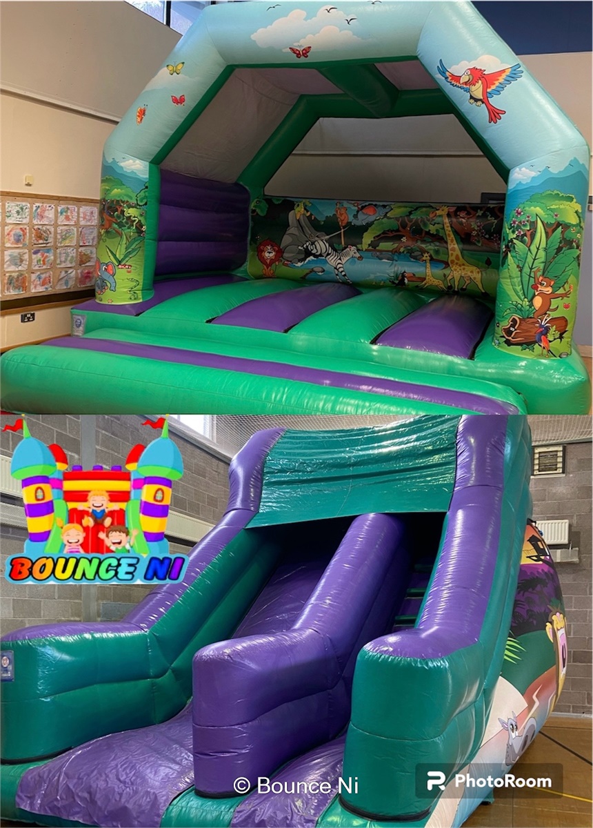 Jungle Bounce & Slide Package - Hire in Counties Antrim, Down Armagh ...